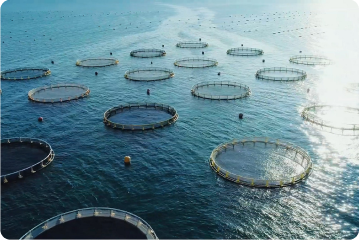 North Queensland Fish Farm – Steadfast Rural Fencing